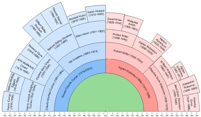 Curran and Herrmann Family Stories - the PDF Files